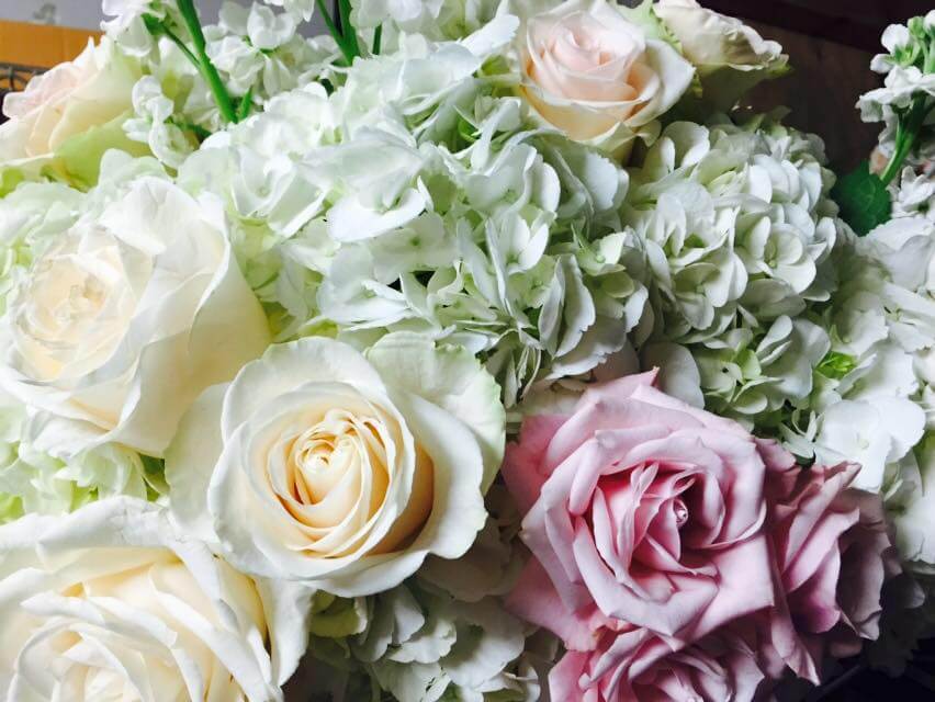 Violets Florist - Global Cool